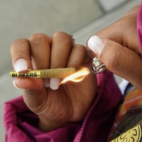 Blinker Disposable Vapes & Carts For Smooth Puffs - Official Hitting ...
